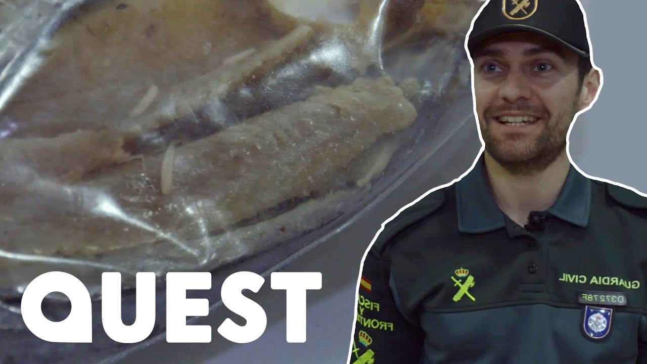 Officer Confiscates Fish Infested With Maggots | Border Control: Europe ...