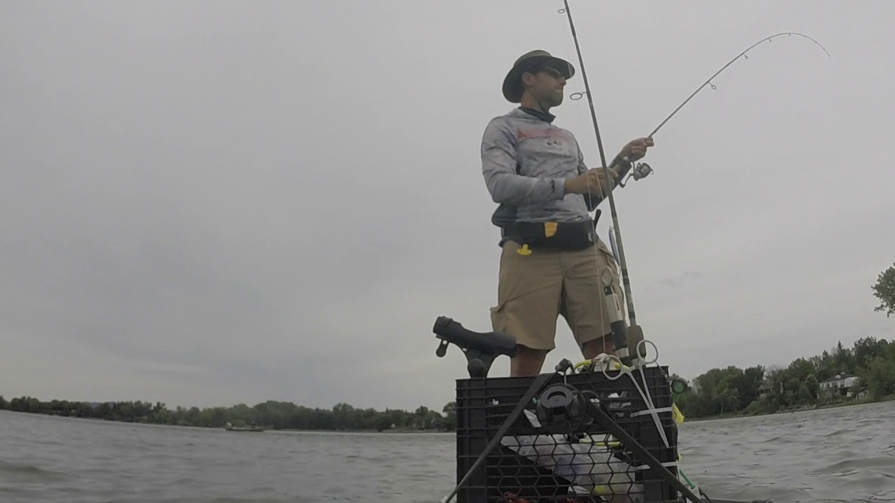Pêche SUP Bassin de Chambly - YouTube
