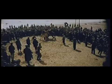 Flying Clipper   Traumreise unter weißen Segeln Trailer