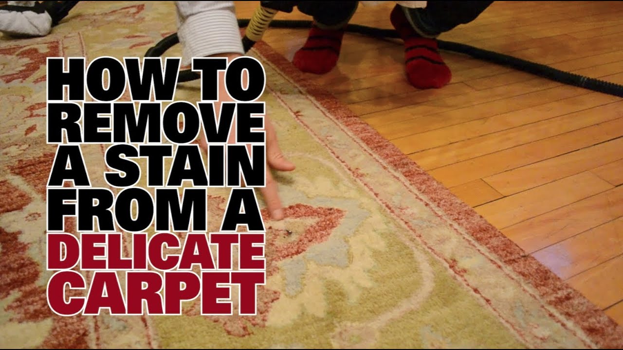 How To Steam Clean Delicate Rugs - Dupray Steam Cleaners - YouTube