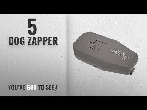 Dog Training Zapper Collar