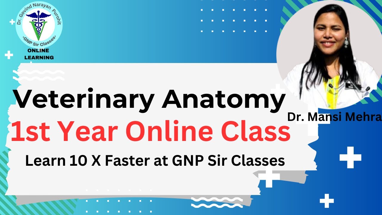 Veterinary Anatomy 1st year Online Class - YouTube