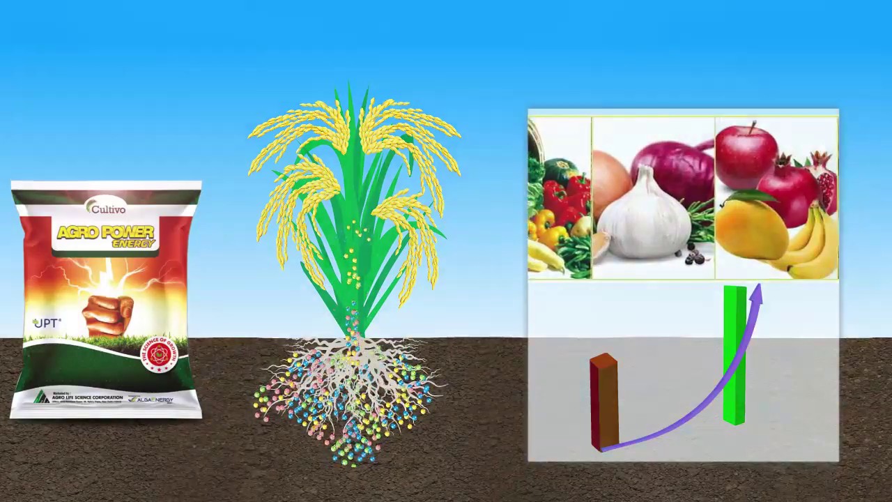 Agro Power Energy(MARATHI) from ALSC : Bio Fertilizer (Arbuscular ...
