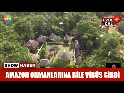 Amazon ormanlarına bile virüs girdi