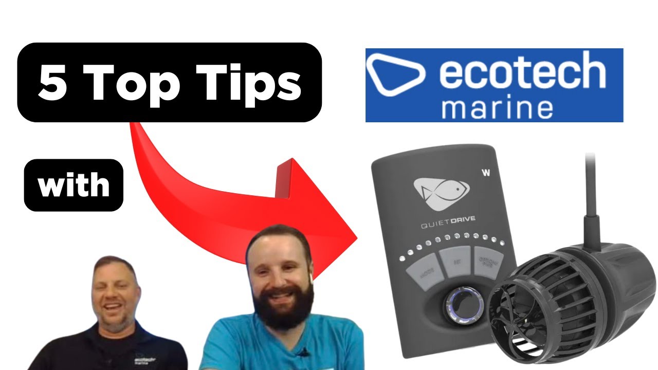 5 tips when using an Ecotech Vortech pump - YouTube