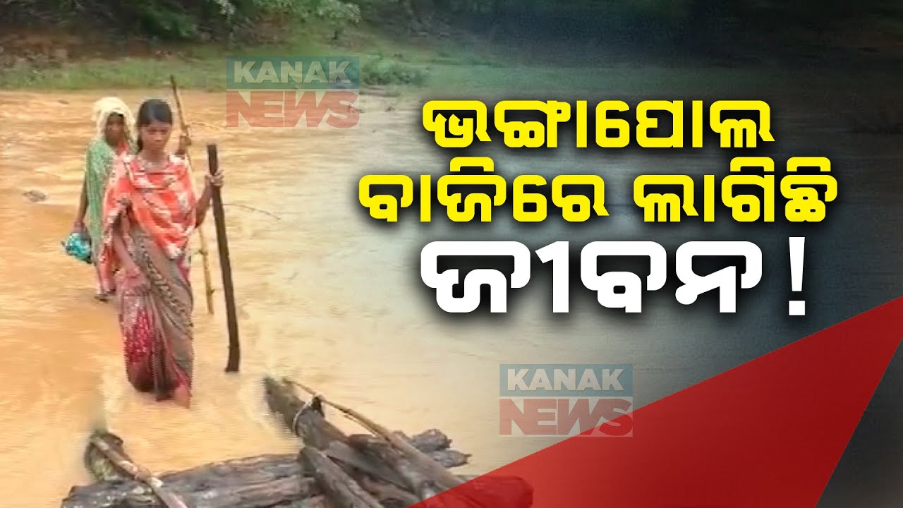 Wooden Bridge Washed Away in Flooded River in Phulbani; People Demand ...