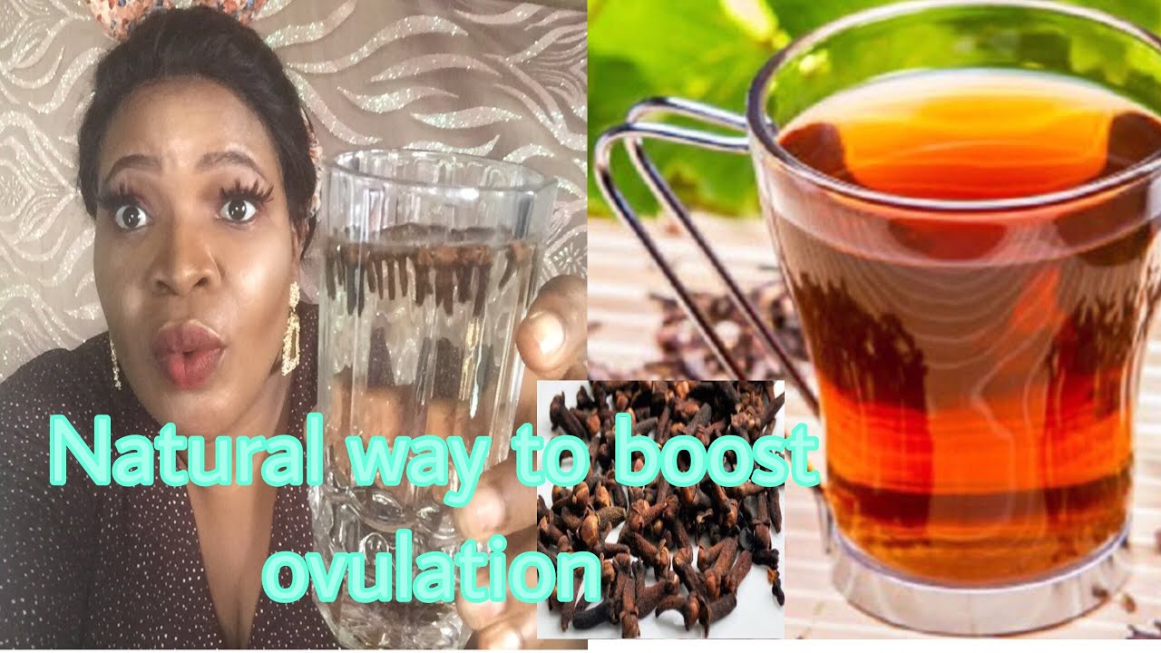 Boost ovulation the right way and get pregnant || how to boost ...