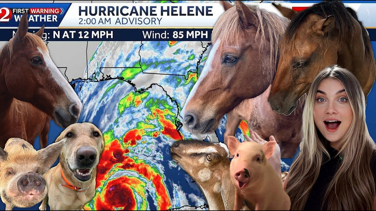 WE ARE READY! Preparing For MAJOR HURRICANE HELENE With All My Pets ...
