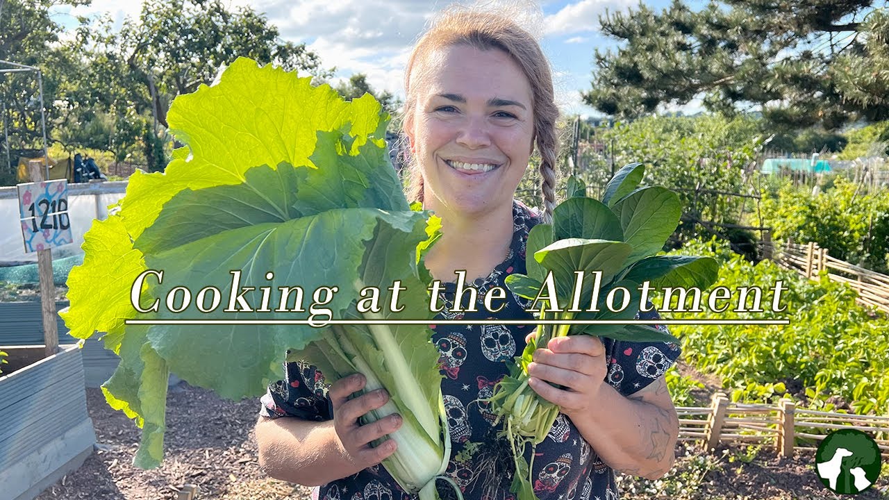 We Cook Fresh Vegetables Outdoors At Our Allotment Garden! - YouTube