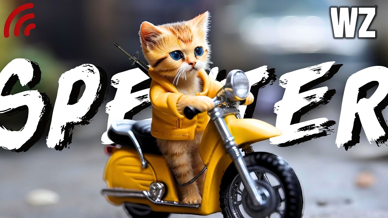 🔴 The Cat & The Motorcycle | Call of Duty: Warzone - YouTube