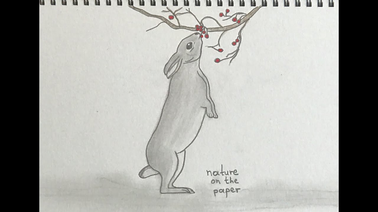 How to draw a bunny/Πως να ζωγραφίσω ένα κουνελάκι/κουνέλι όρθιο - YouTube