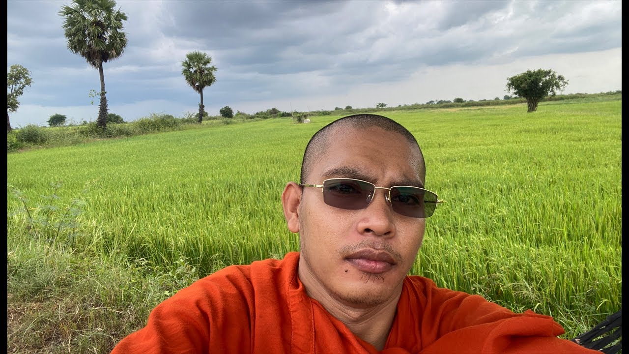 Pisey Simple Official ទេសភាពវាលស្រូវវាលស្រែ ខ្យល់បរិសុទ្ធ - YouTube