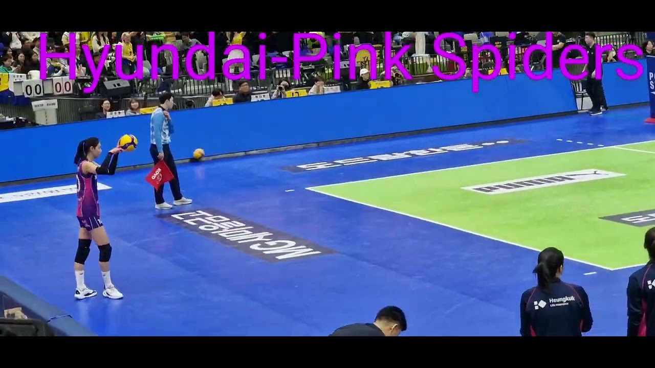 🏐Hyundai-Pink Spiders22-25(2)🏐 - YouTube