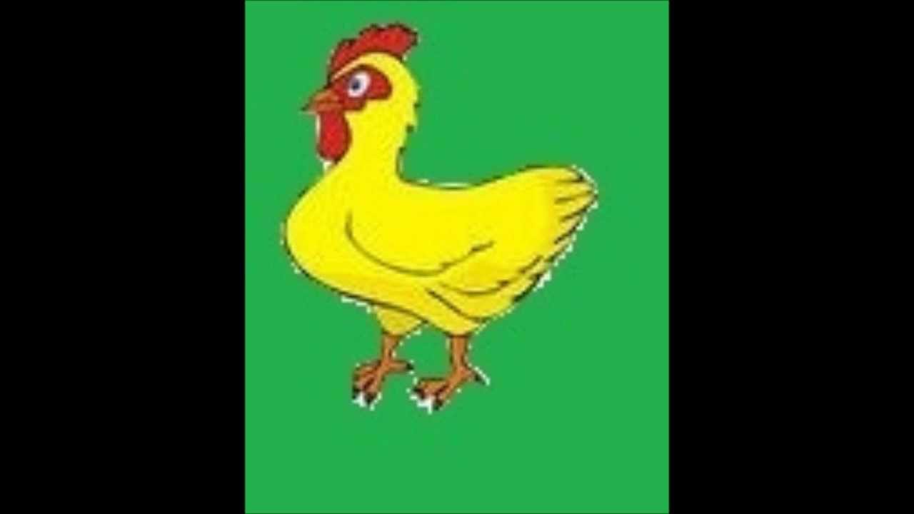 ΤΟΥΛΑ Η ΚΟΤΟΥΛΑ! - YouTube