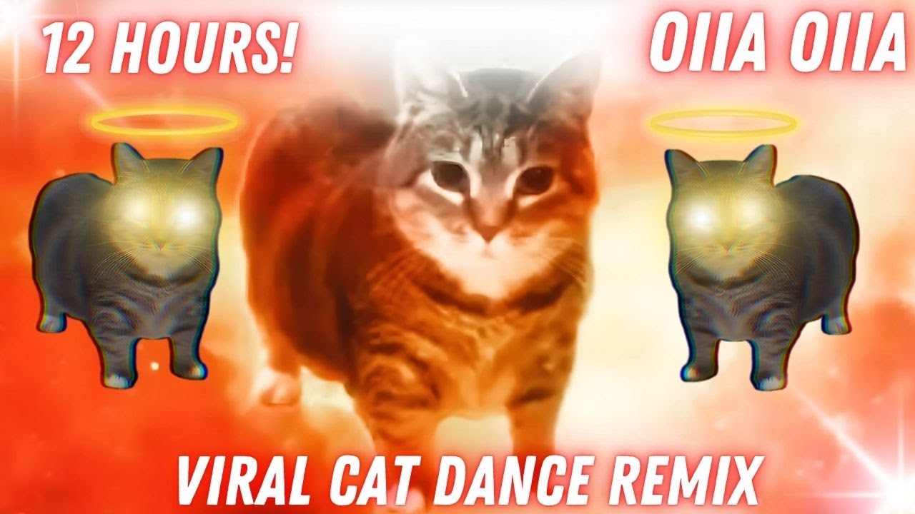 OIIA OIIA VIRAL SPINNING CAT DANCE! 12 HOURS! - YouTube