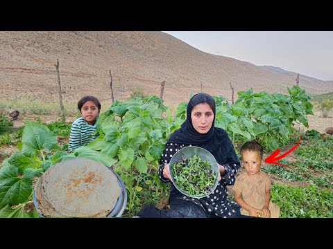 🫓 Real life of nomads | Traditional bread, organic vegetables and a quiet night in Zagros 🏕️🌿