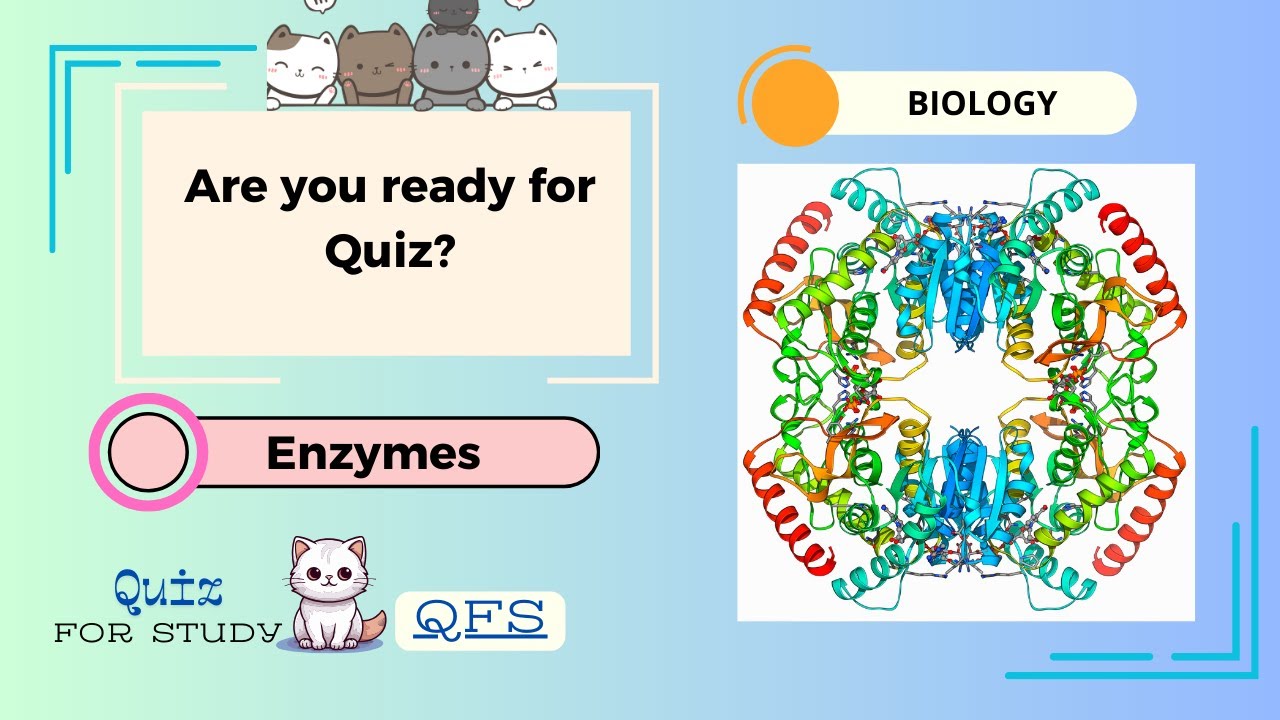 Enzymes biochemistry Quiz in digestive system High school & college ...