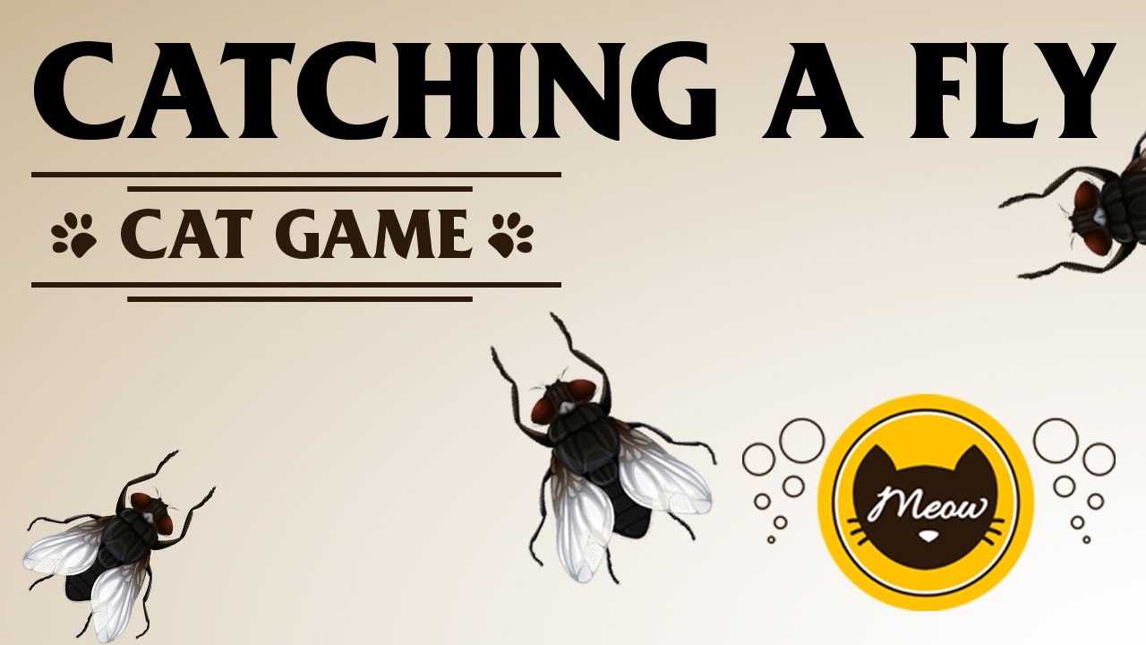 Catch Fly games on screen - CAT GAMES - YouTube