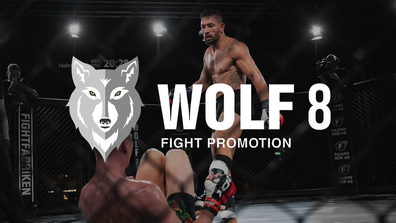 WOLF FIGHT PROMOTION 8 - Halmstad - YouTube