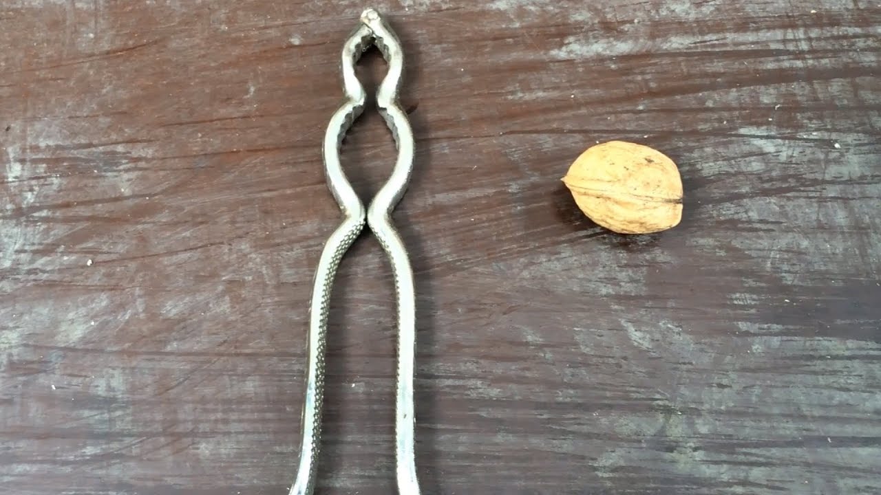 How to crack a nut - YouTube