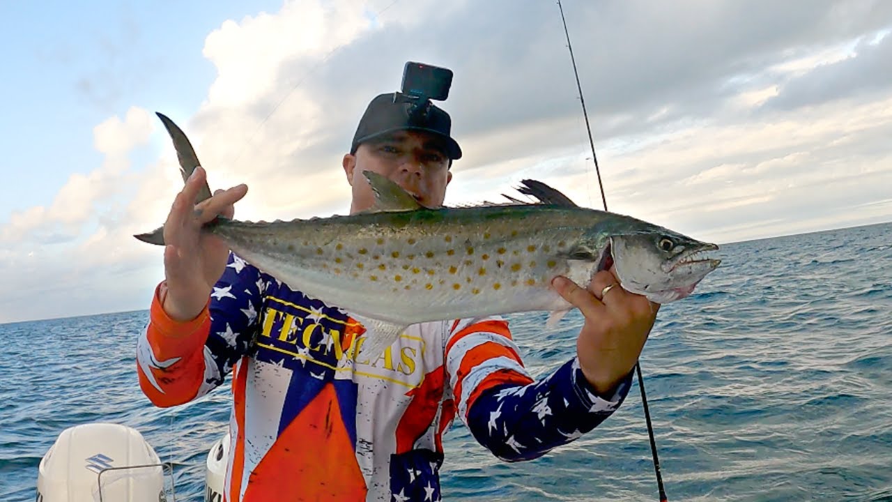 PESCA DE MACARELA EN MARATHON COMO PESCAR MACARELA! - YouTube