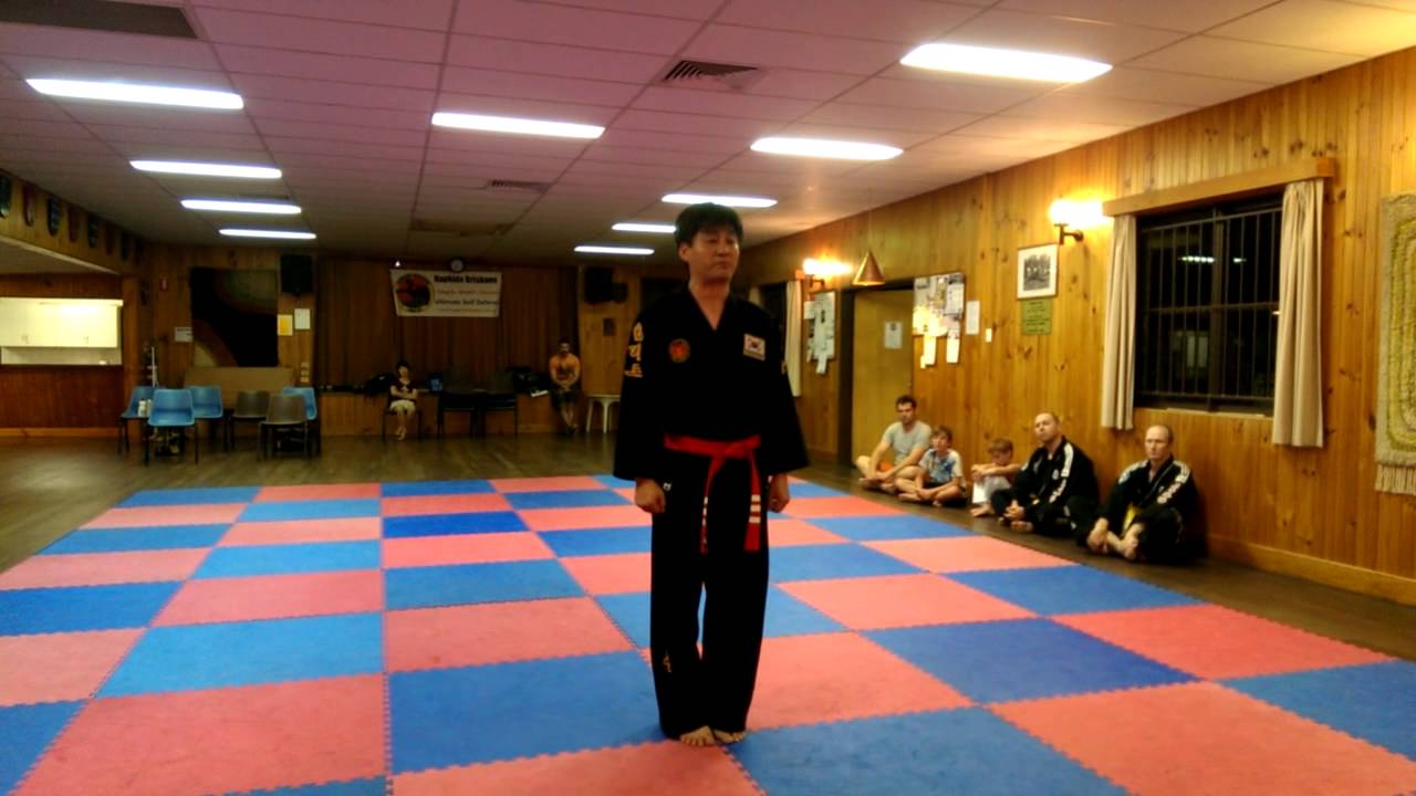 "What is Hapkido?" Perfect answer - YouTube