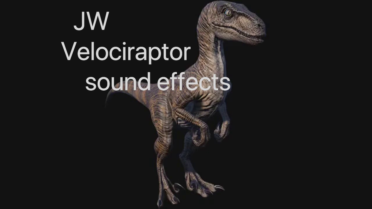 JW Velociraptor sound effects - YouTube