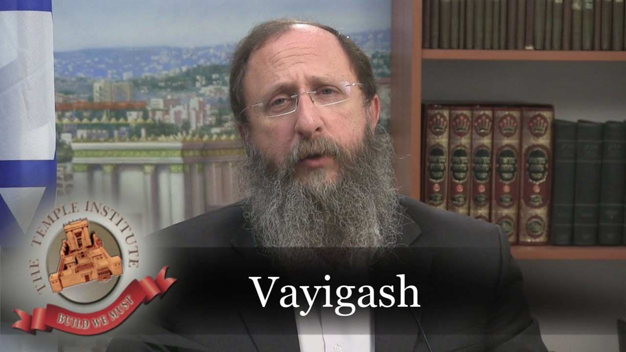 Weekly Torah Portion: Vayigash - YouTube
