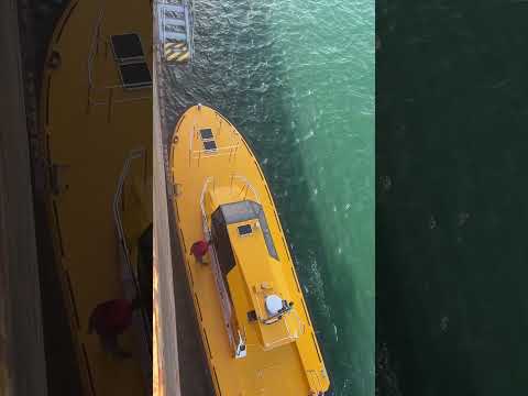 Pilot Botu Aborda #pilot #liman #gemi