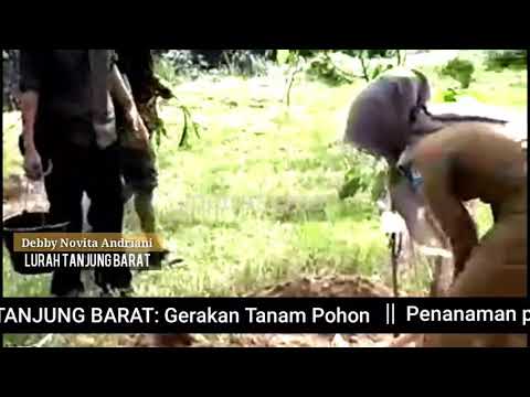 Heboh!! Lurah main di Kebon | Inilah sosok Lurah Tj. Barat | Semangat, Muda dan Cantik #petotscreen