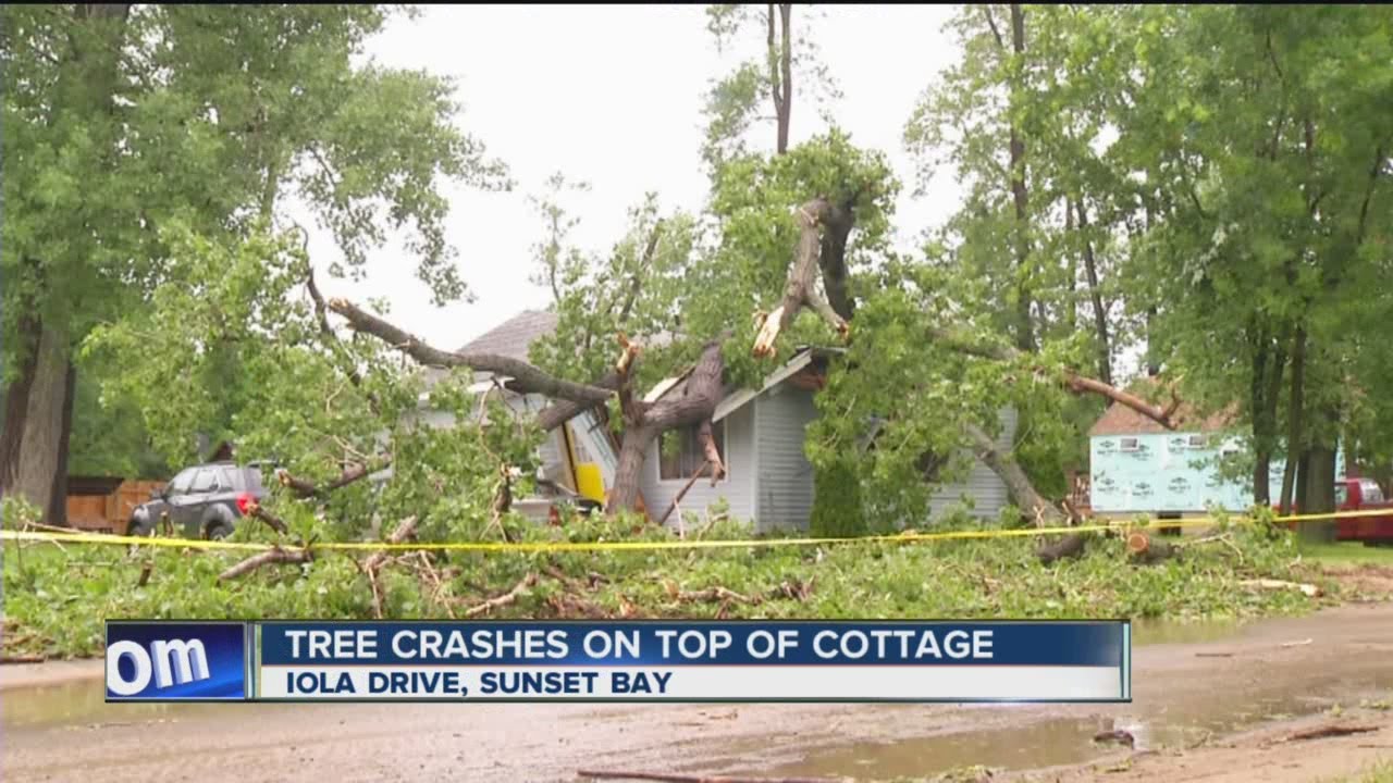 Family of six safe after tree crushes house - YouTube
