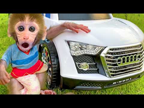 Bebé Mono GoGo se Baña en Una Tina de Dulces y va a Cosechar Frutas🐵🍇🍉 - GoGo ESP