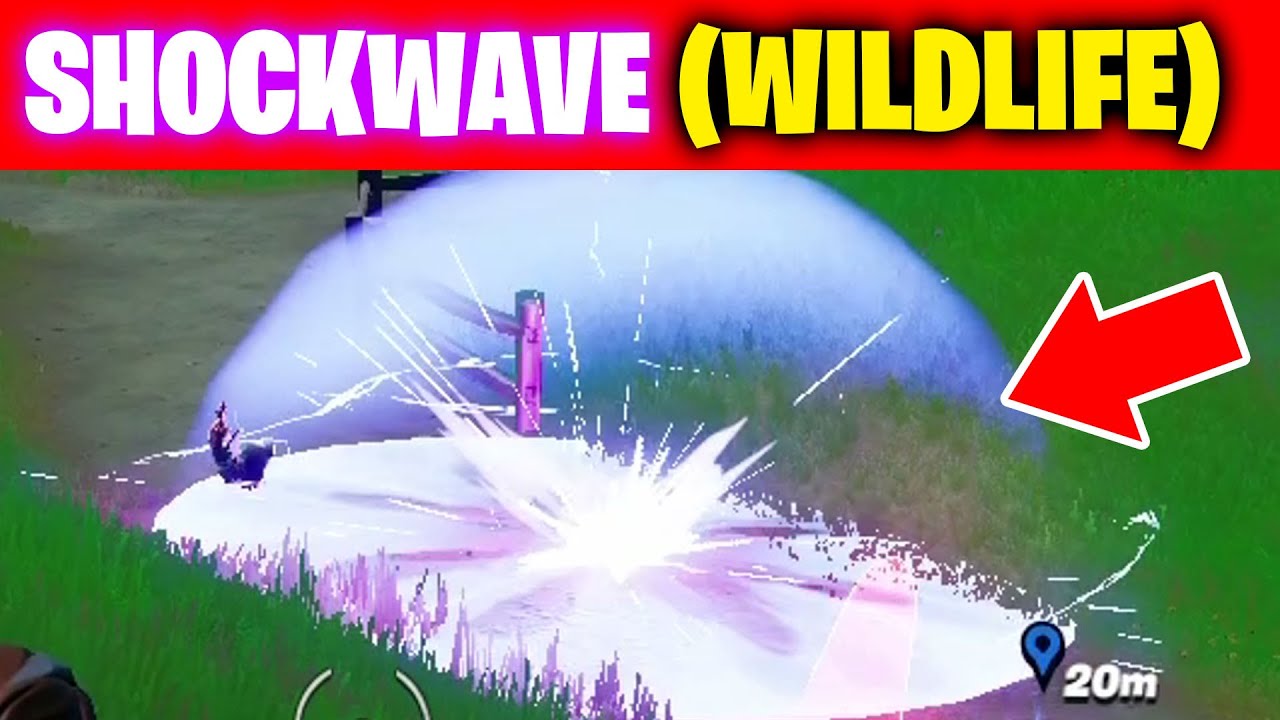 Shockwave wildlife using a shockwave grenade or bow Fortnite - YouTube