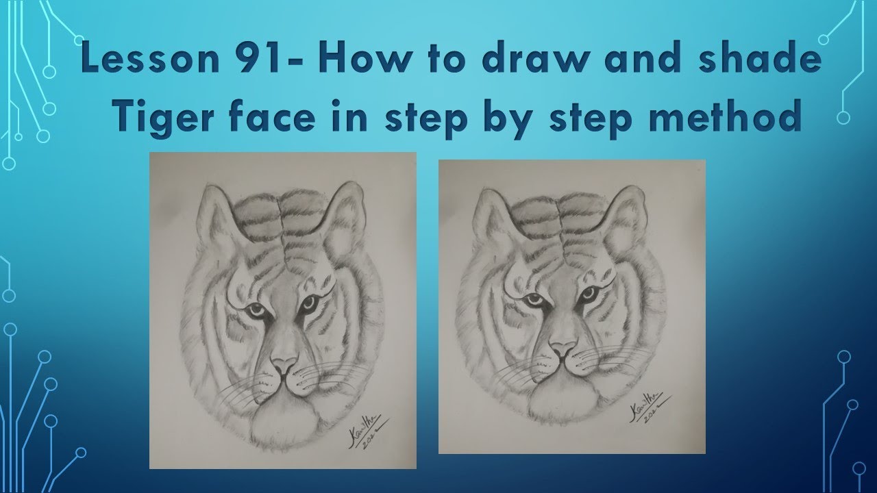 Lesson 90..... How to draw and shade Tiger face in step by step - YouTube