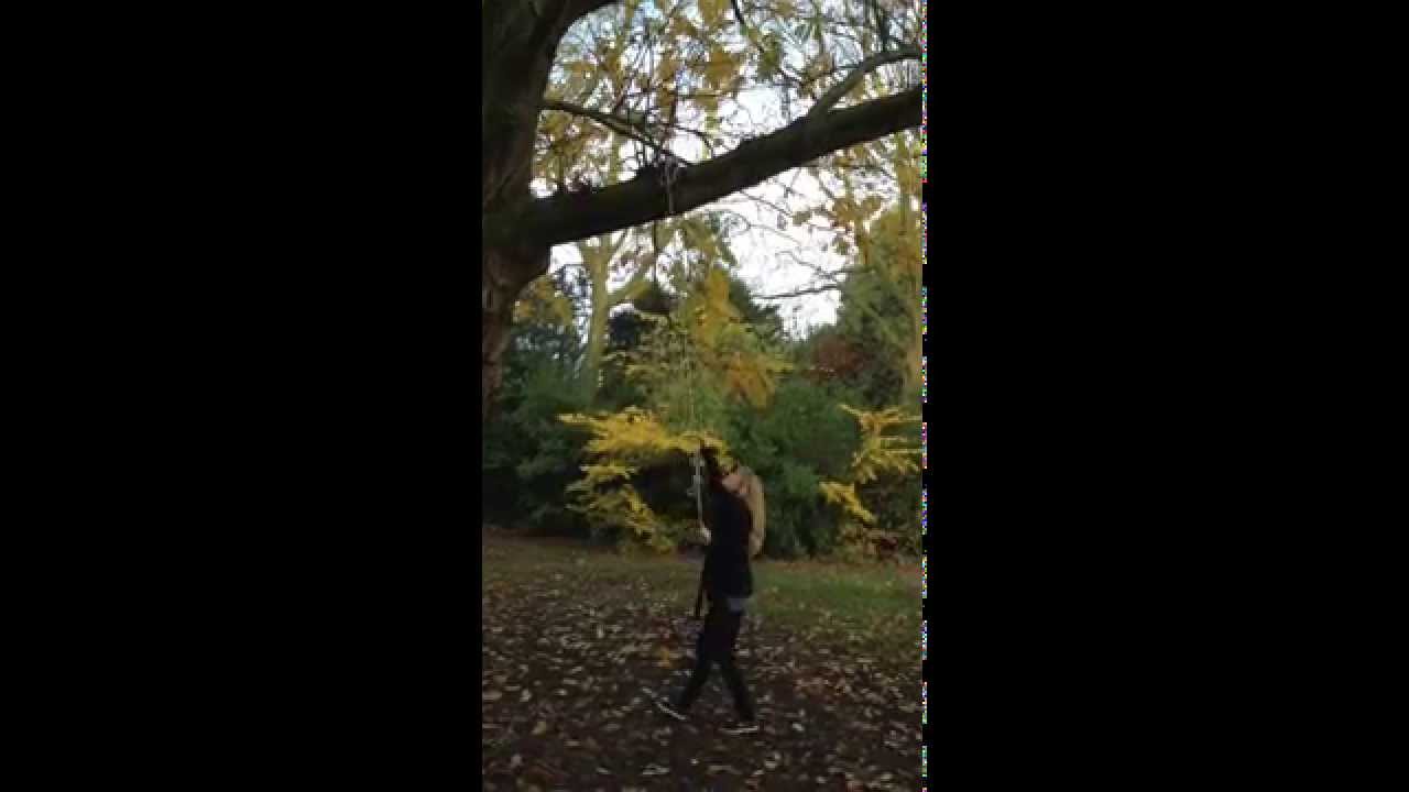 How to attach a removable rope in a tree - YouTube