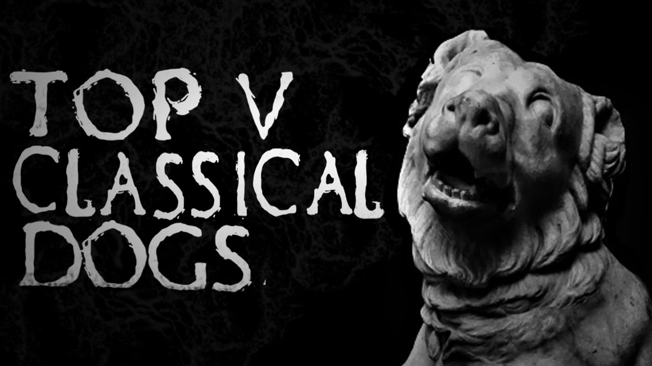 Top Five Classical Dogs - YouTube