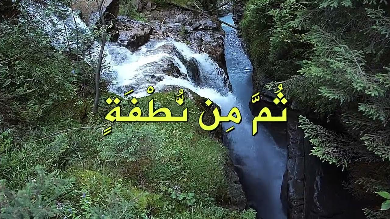 والله خلقكم من تراب ثم من نطفة ثم جعلكم أزواجا وما تحمل من أنثى ولا تضع
