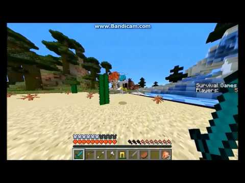 Minecraft:Küfürlü Oynayış