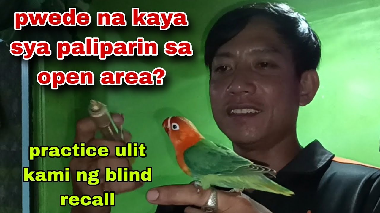 PWEDE NA KAYA PALIPARIN SI FLUPPY SA OPEN AREA | 2ND TRAINING BLIND ...