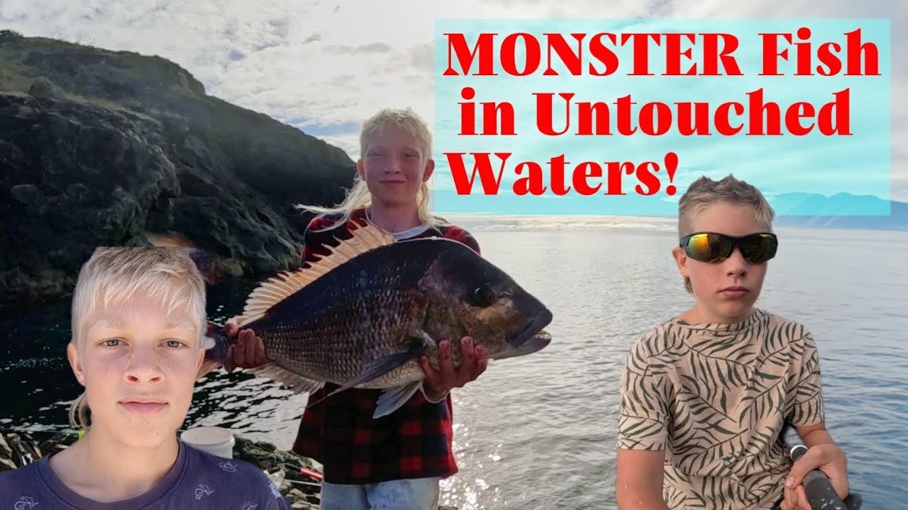 Exploring Untouched Waters: Epic Adventures Catching Monster Fish! # ...