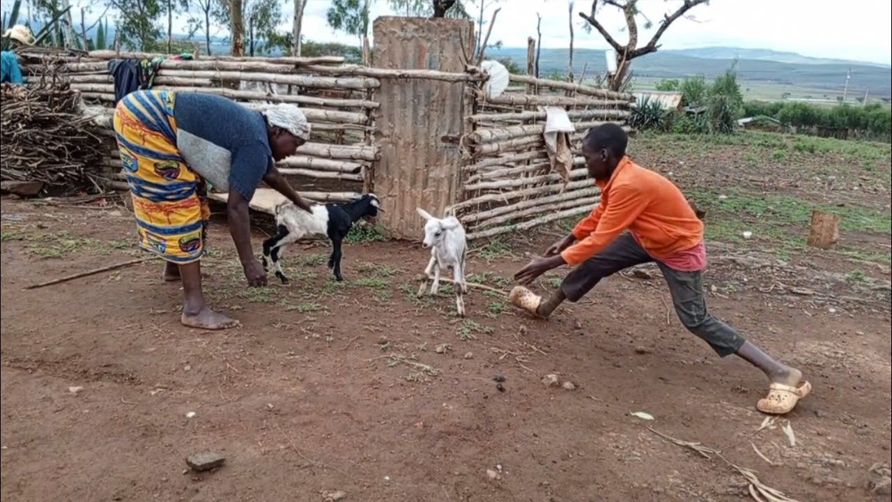 The Normal Daily Life Routine In This Typical Traditional Homestead ...