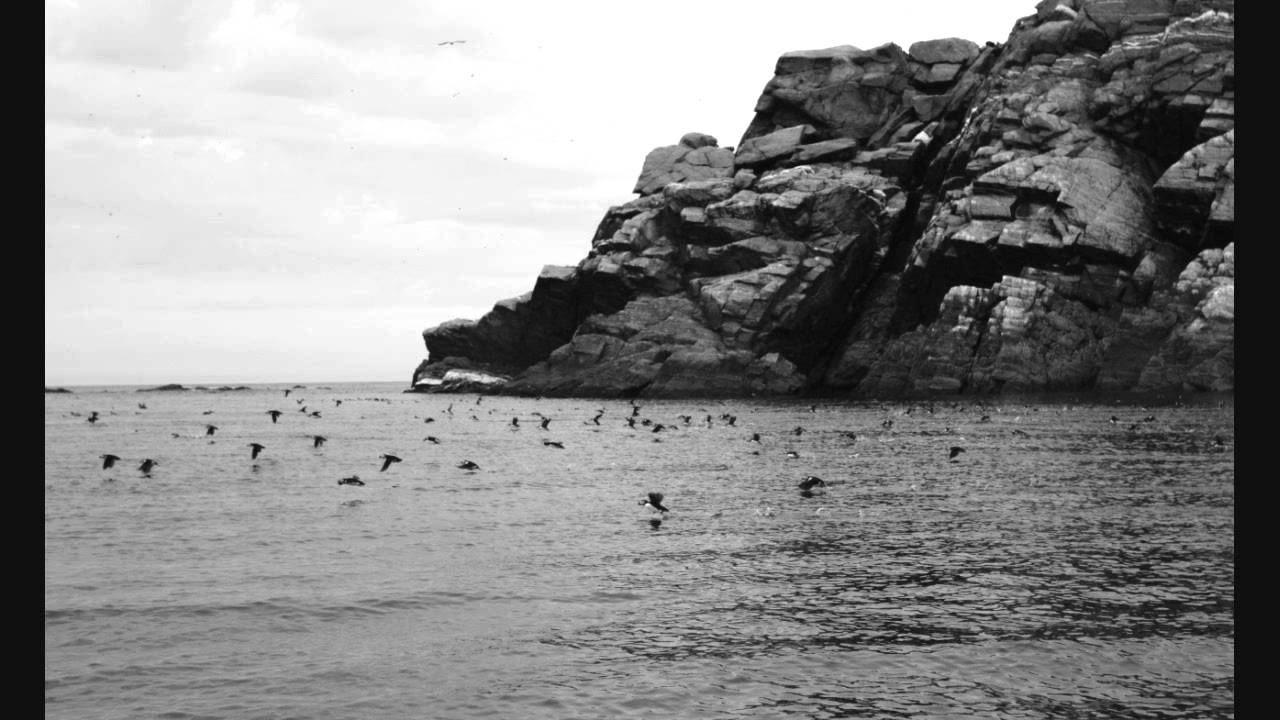 Cliffs of Baccalieu (Jack Withers) ~ Allison Crowe - YouTube