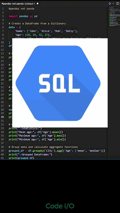 What Is Pandas 🐼 In Python 🐍shorts Python Pythonprogramming Programming Pythontutorial Ml