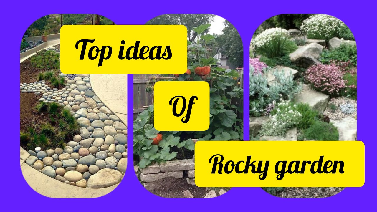 Unleashing the Beauty of Rocky Gardens | Trending Garden Decor - YouTube