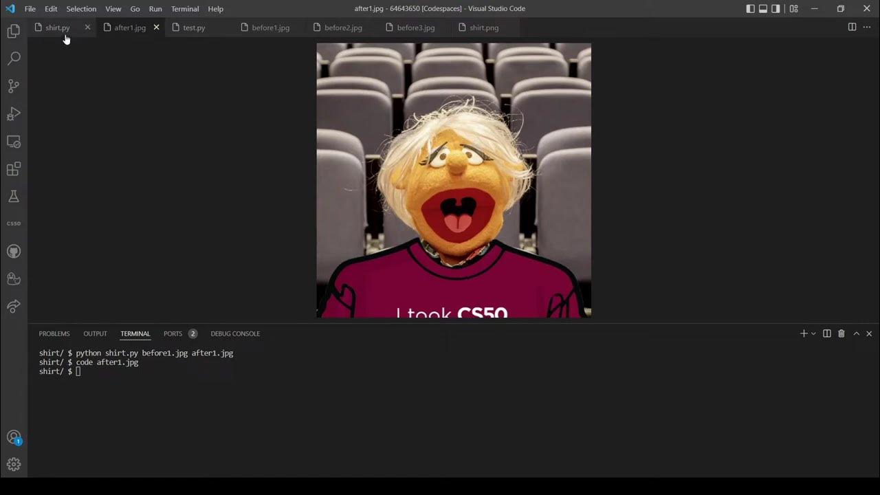 CS50P Shirt -Problem Set 6 (CS50's Introduction to Programming with Python) - YouTube