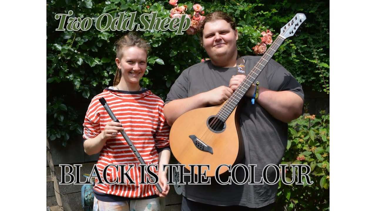 Black is the Colour - Two Odd Sheep (Cover) - YouTube