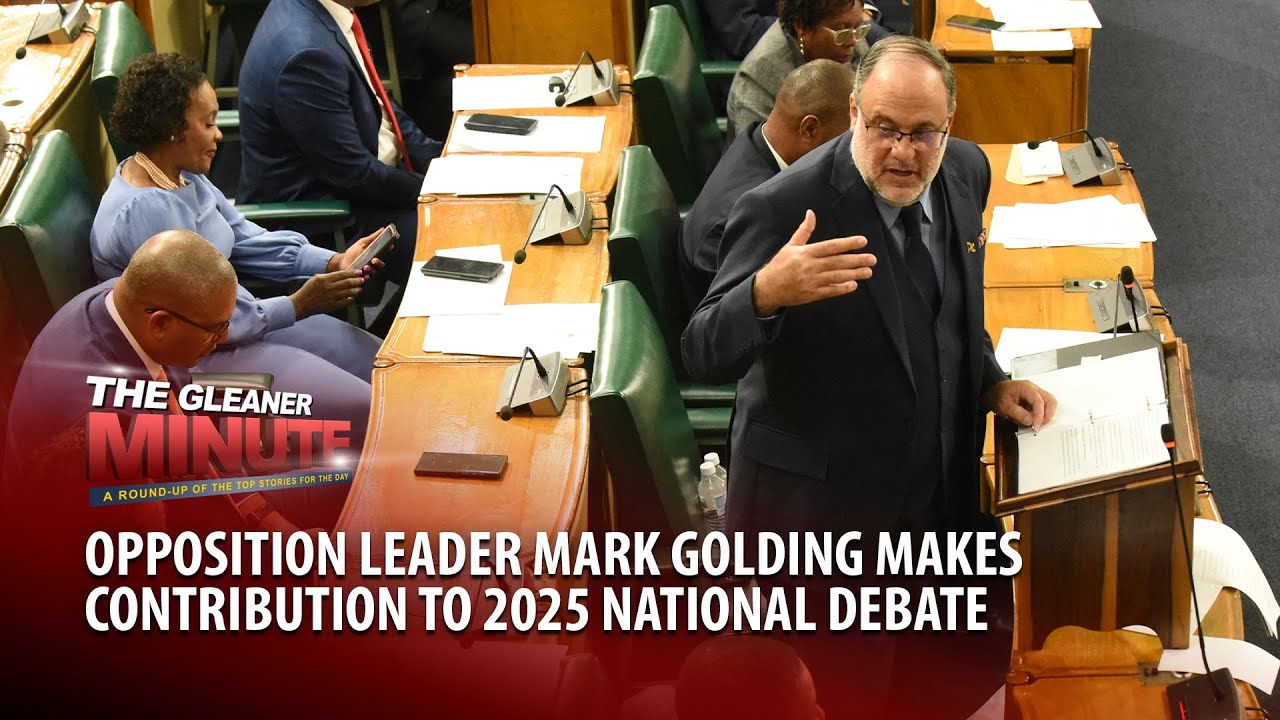 THE GLEANER MINUTE: Opposition Leader gives contribution to 2025 Budget ...