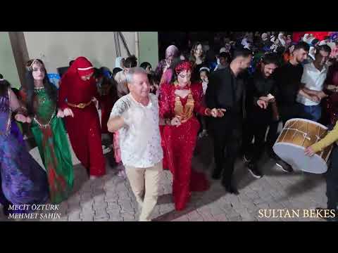 Sultan Bekes grani NEW 2026 ELİF & BÜNYAMİN KARAKUŞ AİLESİ KINA
