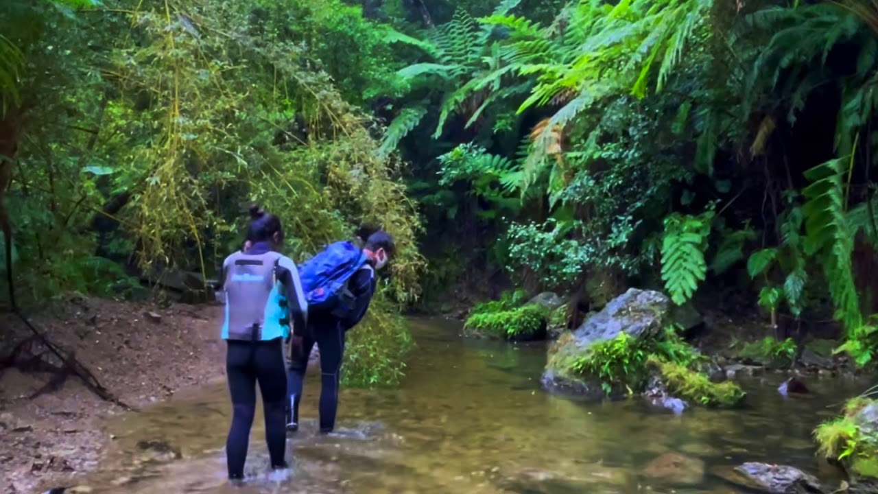 Ta Waterfall - Ogimi-son Okinawa #ター滝 - YouTube