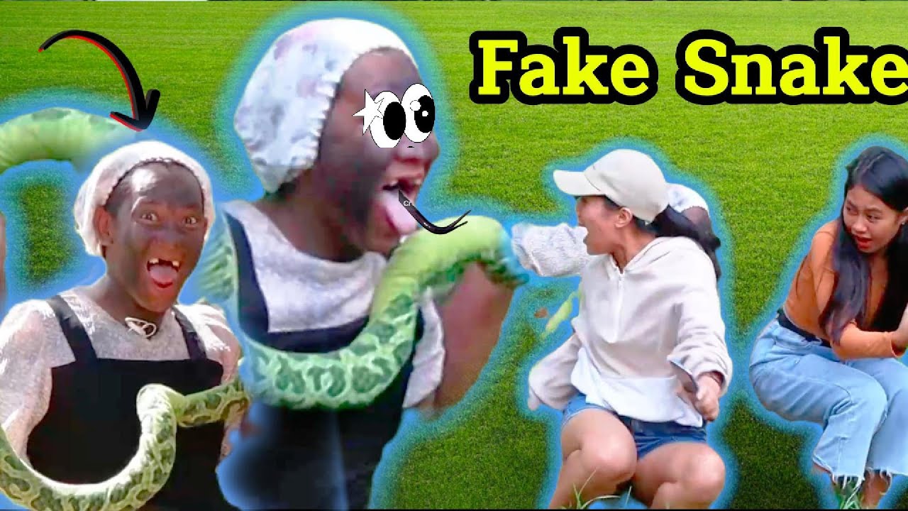 FAKE SNAKE "PUBLIC PRANK" - YouTube